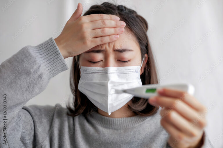 【Adobe Stock】2025年8月売上 | maaagram